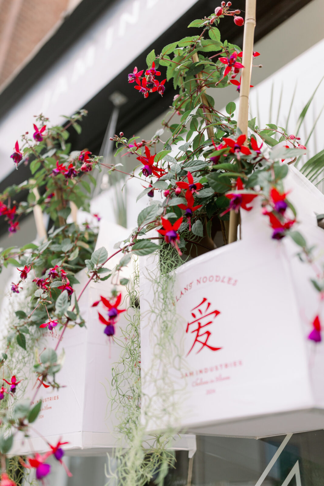 Chelsea Flower Show 2024 | camillajoy.co.uk